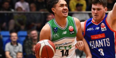 Auckland Tuatara Basketball